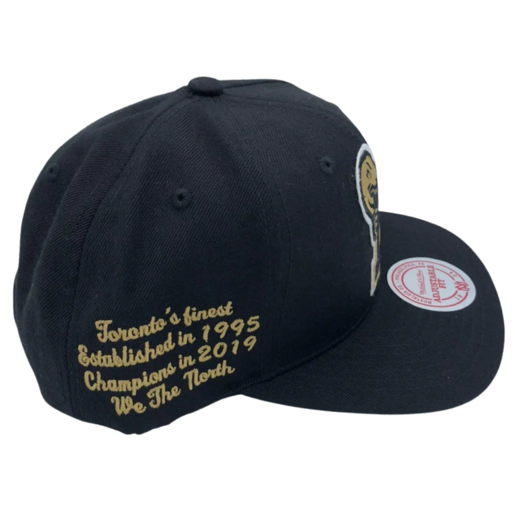 Toronto Raptors Mitchell & Ness NBA Black & Gold Basketball Graduation ...